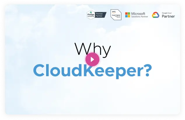 Guaranteed Cloud Cost Optimization, Cloud Savings & Support