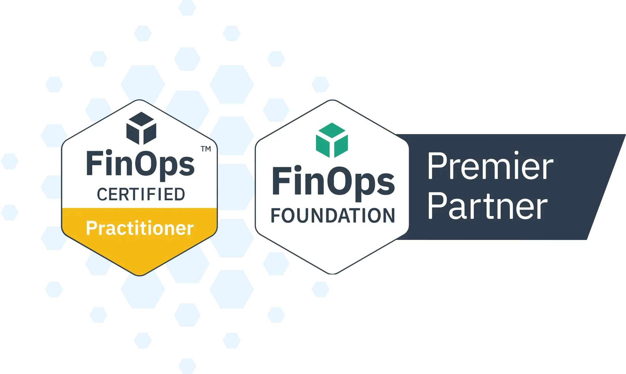 Guaranteed Cloud Cost Optimization, Cloud Savings & Support